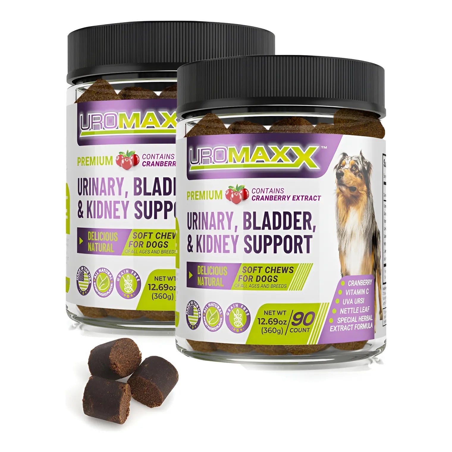 UroMAXX Tratamiento Infección Tracto Urinario Perros Soporte Vejiga Ma ...