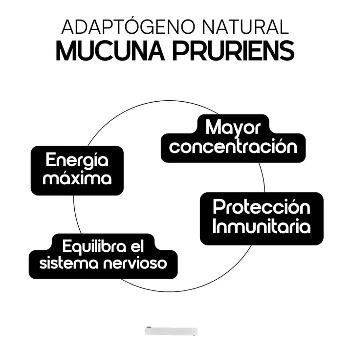 Kit Bienestar Integral Ashwagandha Y Mucuna 240 Capsulas Vegano Energi ...